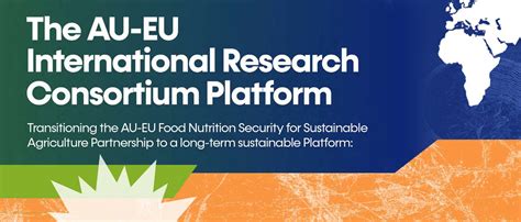 The Launch Of The Au Eu International Research Consortium Platform