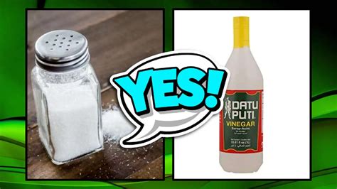 Science 6 Wk 2 L2 Differentiating A Solute From A Solvent Ppt Pptx Chemistry Science