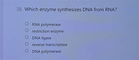 Solved Which Enzyme Synthesizes Dna From Rnarna