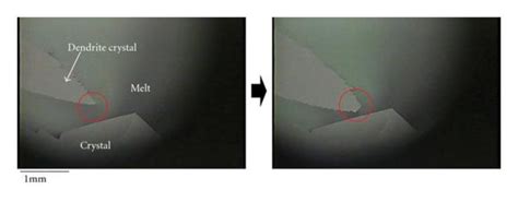 Growth Behavior Of Faceted Dendrite At Grain Boundary Formation The Download Scientific
