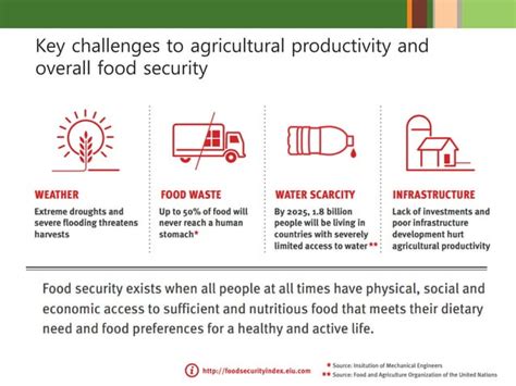 Harnessing Beneficial Microbial Communities Opportunities And Challenges For Enhancing Crop