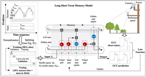 The Framework Of Canopy Greenness Modelling Using Lstm The Lstm Is Download Scientific Diagram