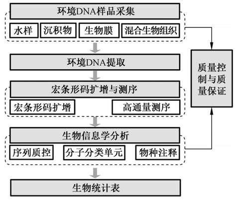 环境dna生物多样性监测环境dna水生态监测 成都南易生态环境科技有限公司