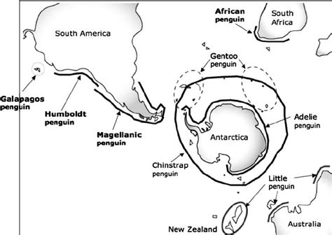 A Global Distribution Map Of Wild Penguins In Their Natural Habitats
