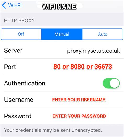 Manual Proxy Ios Iphone And Ipad Liberty Shield
