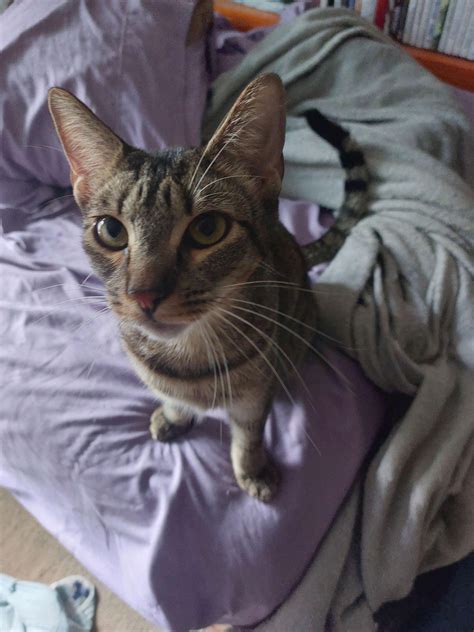 Teasethaliley Hobbyist Digital Artist Deviantart Teasethaliley Hobbyist Digital Artist Deviantart