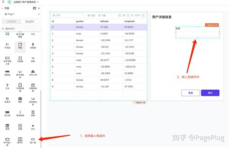 PagePlug低代码平台入门教程 分钟搭建一个用户改查系统 知乎