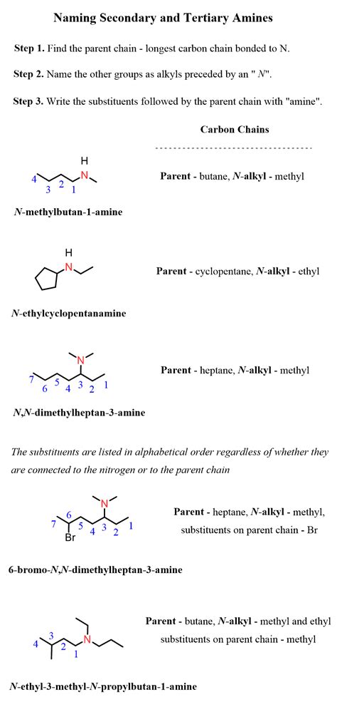 Naming Amines Systematic And Common Nomenclature Chemistry Steps
