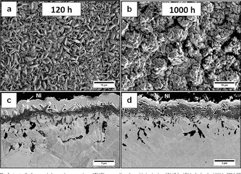 Figure 1 From Microstructure Of An Oxide Scale Formed On Ati 718plus