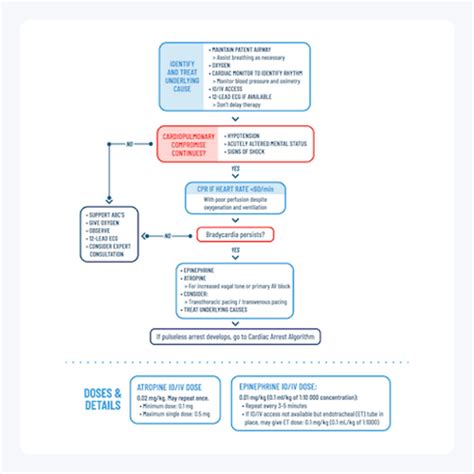 Pals Algorithms 2025 Pediatric Acls Algorithm Promed