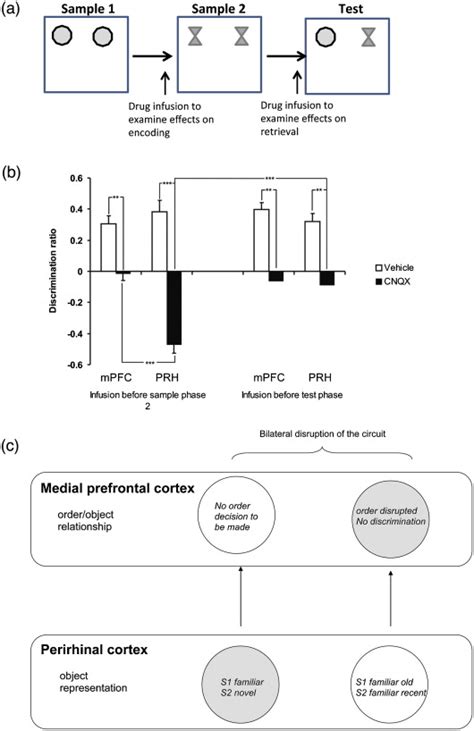 A Diagram Of The Temporal Order Memory Task Including The Timing Of