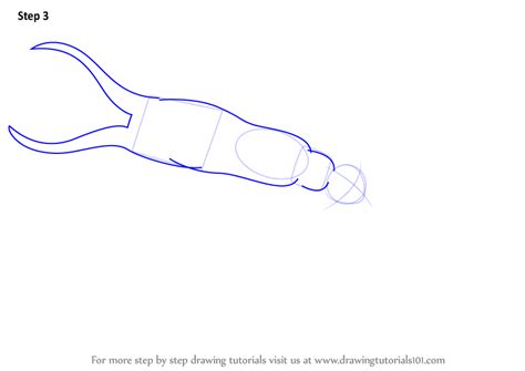 How To Draw A Earwig Insects Step By Step