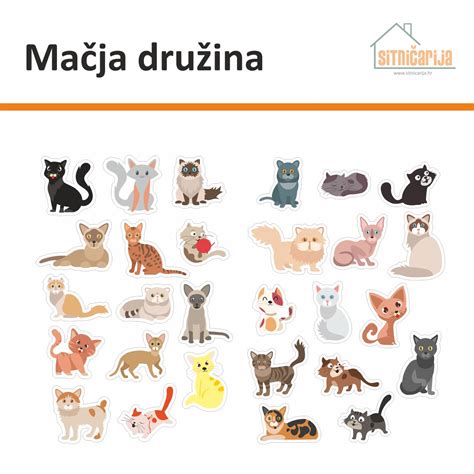 Male Naljepnice Za Sve I Svašta Mačja Družina • Sitničarija Hr