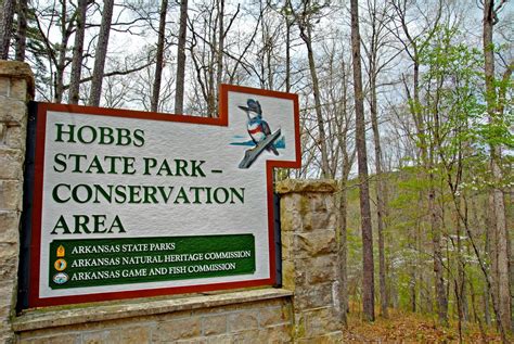 Fun Things To Do This Winter Destination Rogers