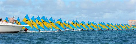 Scuttlebutt Below Shieldsilope