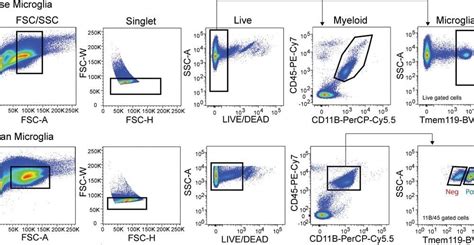 The Evolution Of Rna Structural Probing Methods Advanced Science News