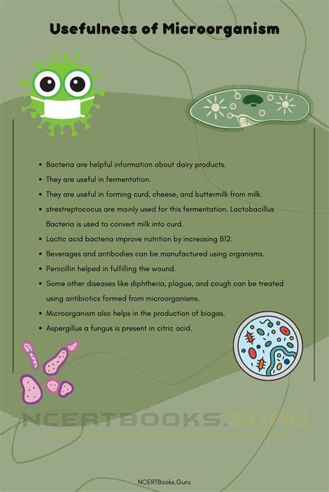 Useful Microorganisms