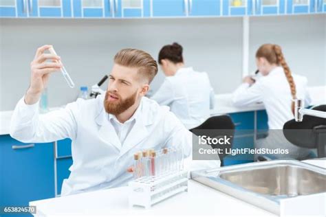 실험실에서 테스트 튜브를 검사하는 흰색 코트를 입은 젊은 수염 화학자 Stem 주제에 대한 스톡 사진 및 기타 이미지 Stem 주제 과학 과학 실험 Istock