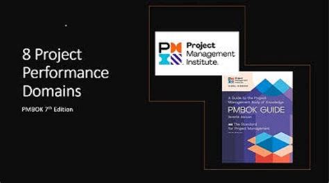 Project Performance Domains According To PMI Program Management Portfolio Management