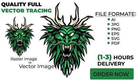 redraw recreate raster logo to qualitiful vector tracing by pgdsomoy