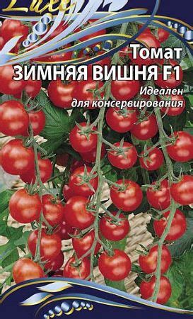Томат Зимняя вишня: описание, фото, отзывы, урожайность | tomatland.ru