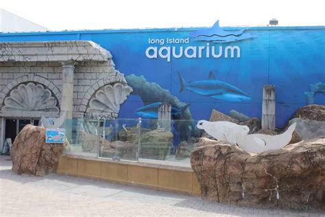 Splish Splash Water Park A Haven For Thrill Seekers And Families Alike