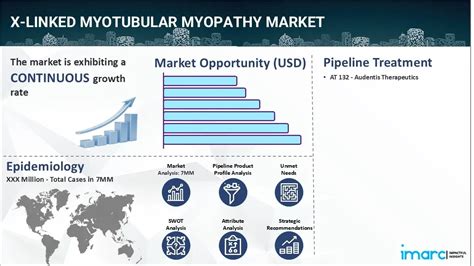 X Linked Myotubular Myopathy Market Size And Share 2035