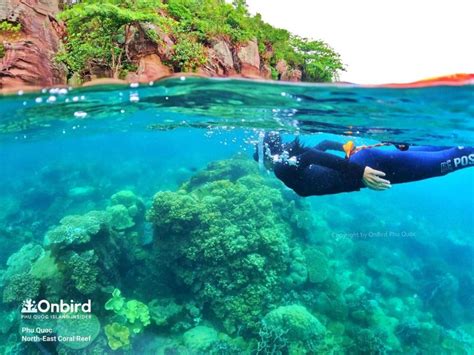 Phu Quoc Snorkeling Diving Onbird Phu Quoc Soft Adventure Journeys