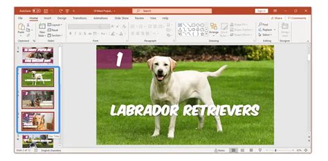 Solved How To Delete A Slide In PowerPoint Your Slide Buddy