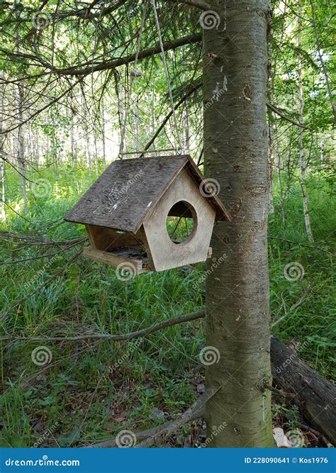 Bird Feeder On A Tree Branch Stock Image Image Of Landscape Country 228090641