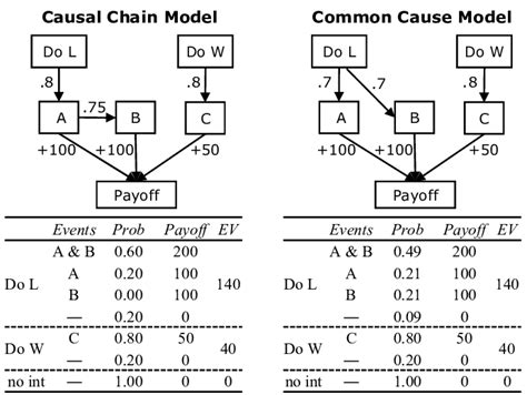 Causal Structure And Feedback Of Experiment 2 Download Scientific