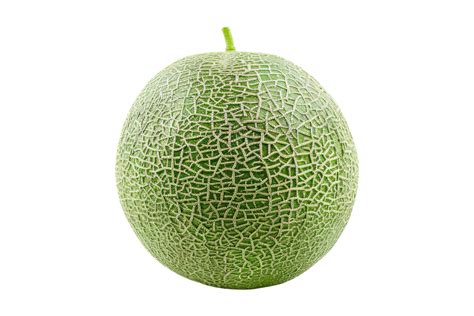 Green Melon Isolated 48784081 Png