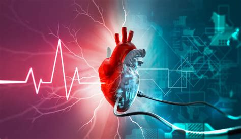 GitHub Svshiva Heart Failure Prediction