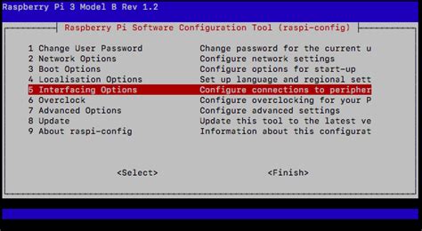 Raspberry Pi Setup