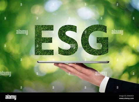 Concept Of Esg Environmental Social And Governance Framework Stock
