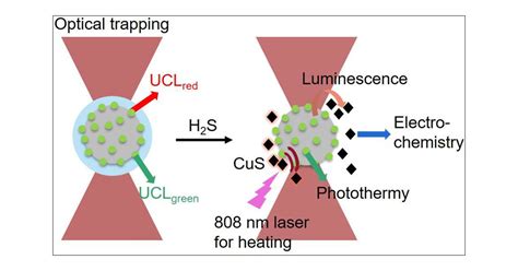 Combining Upconversion Luminescence Photothermy And Electrochemistry For Highly Accurate