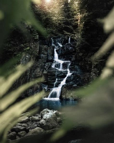 Ґорґани гірський масив в Українських Карпатах 🇺🇦 Цікаві факти вершини озера і маршрути