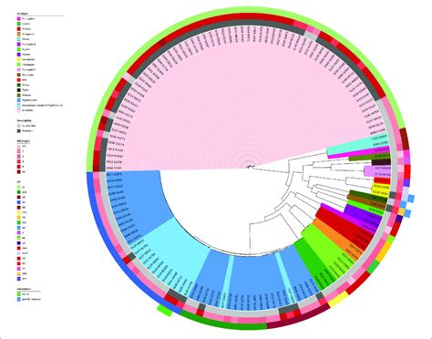 maximum parsimony tree of the whole genome sequenced 136 clinical