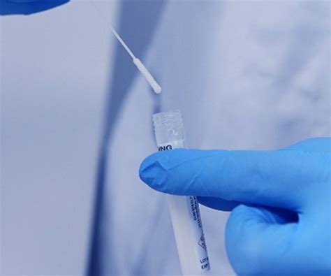 16s And Or 18s Rrna Amplicon Sequencing Enfer Medical