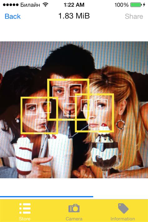 github siggb facedetector client ios application with face detection
