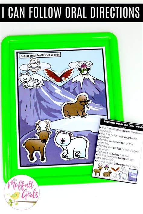 Preschool Math Classify And Sort Artofit