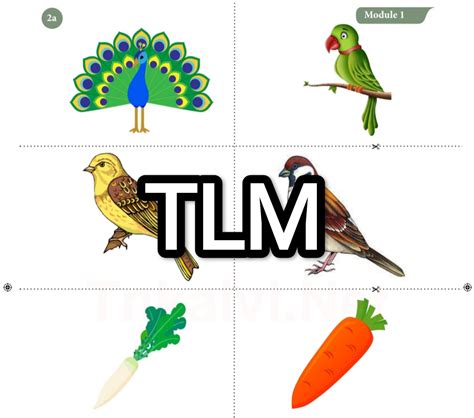 Ennum Ezhuthum Tlm Class 4and5 Unit 1