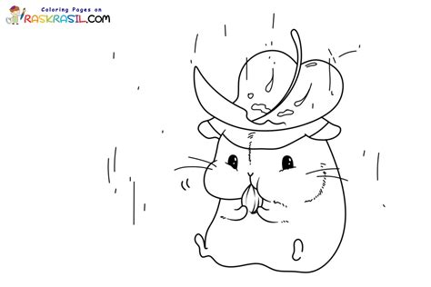 Coloriage Hamster Imprimer