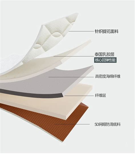 南极人床垫乳胶软垫家用加厚学生宿舍单人褥子垫子榻榻米海绵垫被 天猫 花瓣网