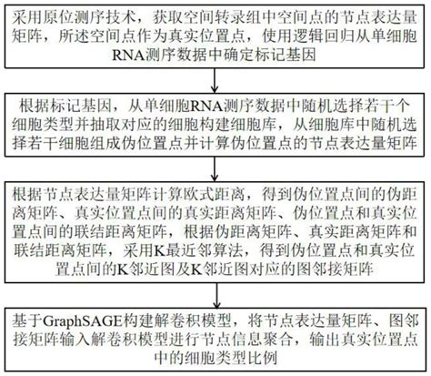 基于graphsage的空间转录组解卷积确定细胞类型的方法及装置与流程