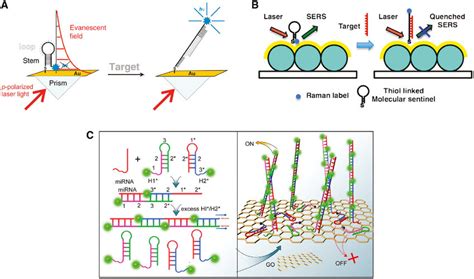 Detection Of Nas Based On Dna Molecular Beacons And Or Dna