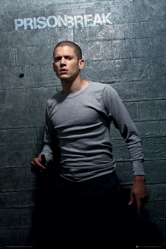 Prison Break No Season 5 Newsfilter