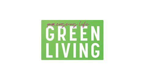 Projects Greenlight Solutions Foundation