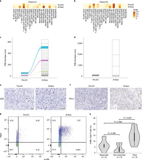 Characterization Of The Tumor Flare Response A D Analysis Of 2 Download Scientific Diagram