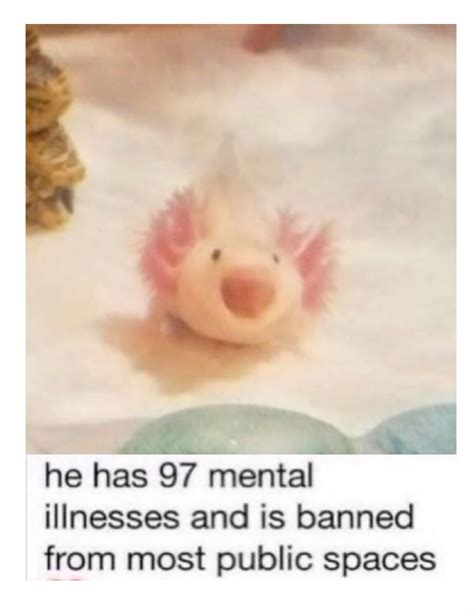 Best 13 Silly Axolotl Artofit